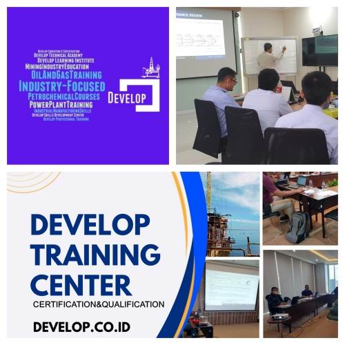 Safety Flow Charts and PSV Systems Training | DEVELOPDEVELOP